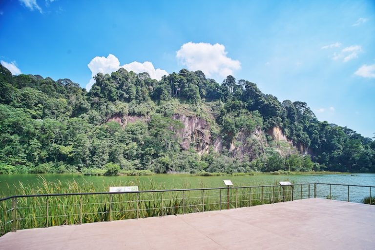 Uncover One Of Singapore's Oldest And Longest Roads - Bukit Timah ...